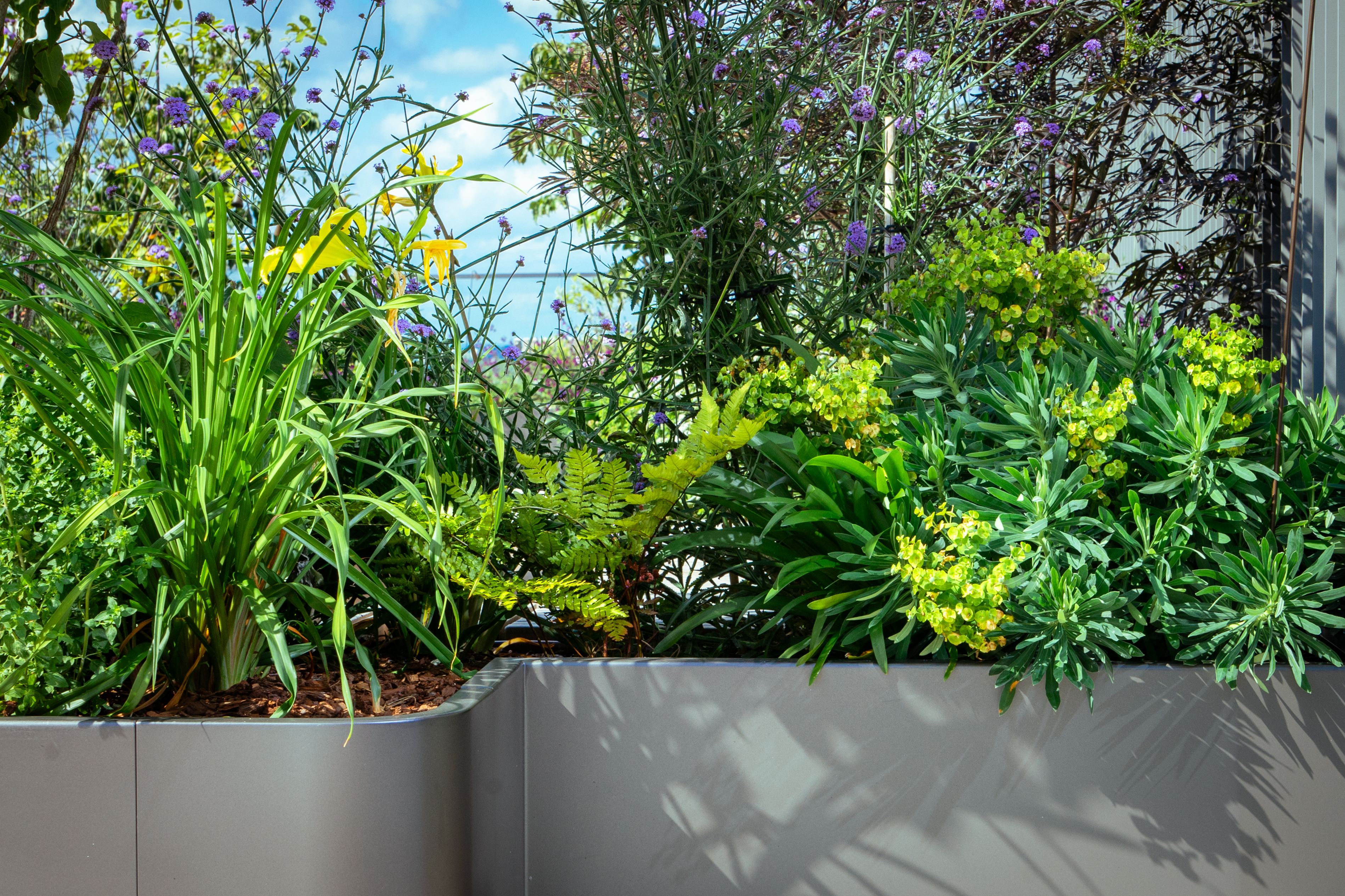 Nine Elms | Raaft Project