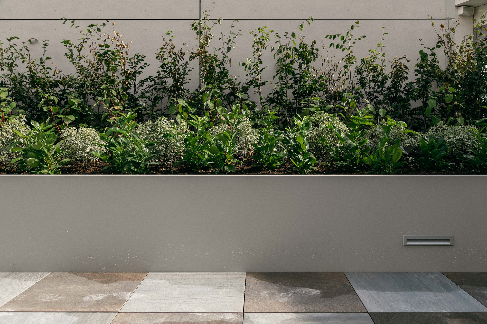 Planter Systems from Raaft